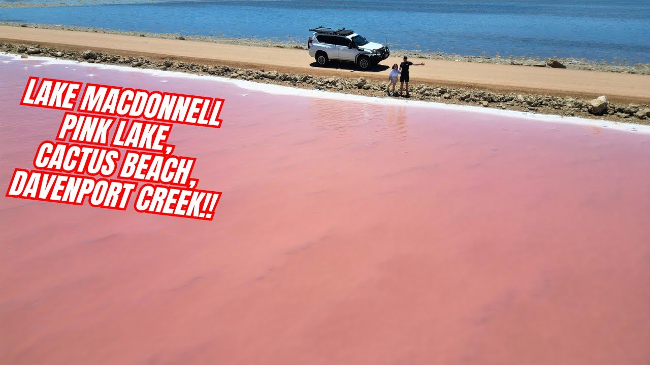 Exploring the Western Eyre Peninsula! Lake MacDonnell Pink Lake, Cactus ...
