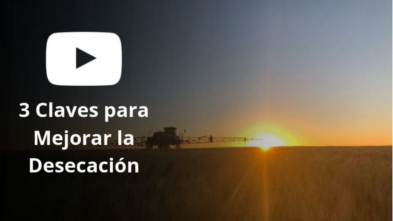 3 Claves para mejorar la desecación - YouTube