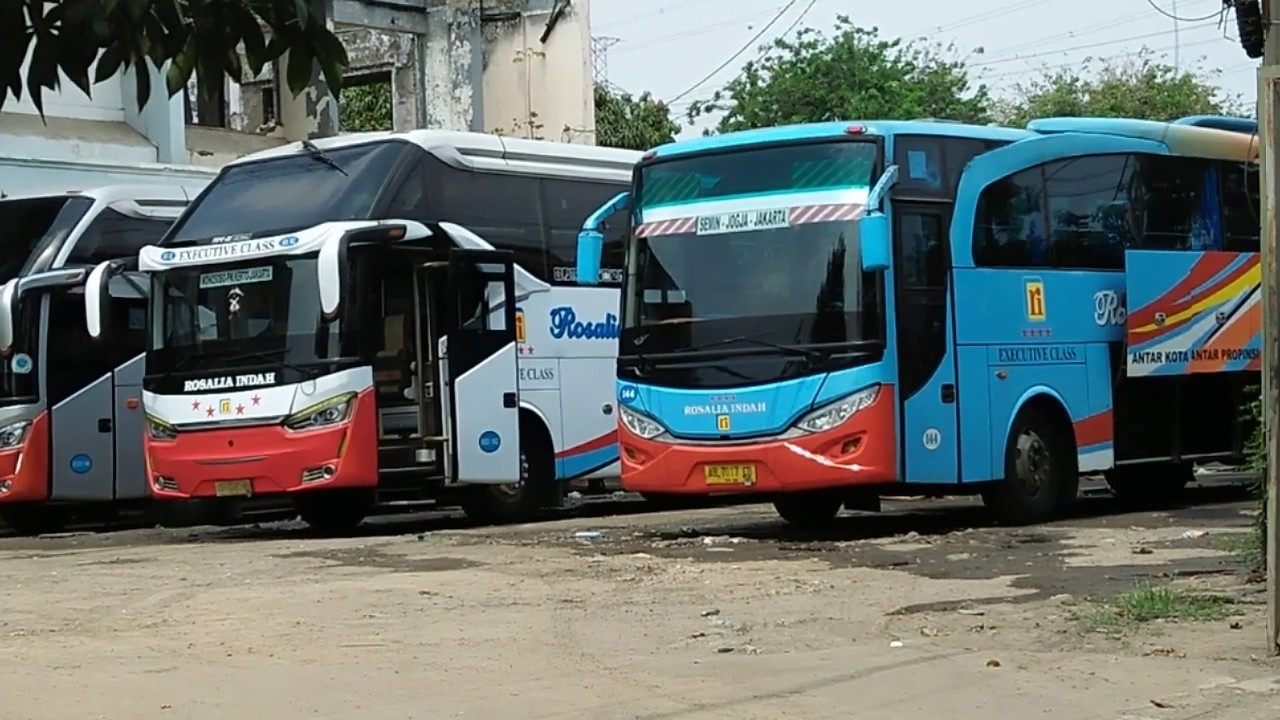bus rosalia indah terbaru 2019 - YouTube