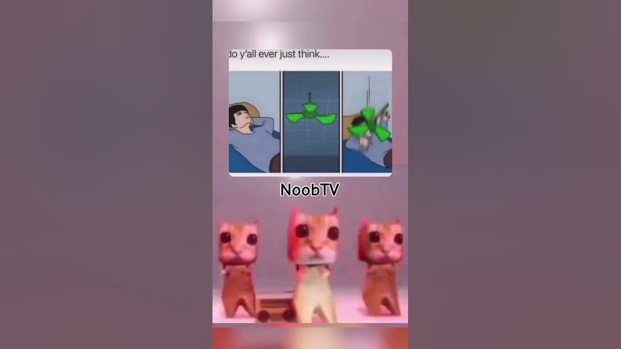 El Gato Cat Meme Youtube