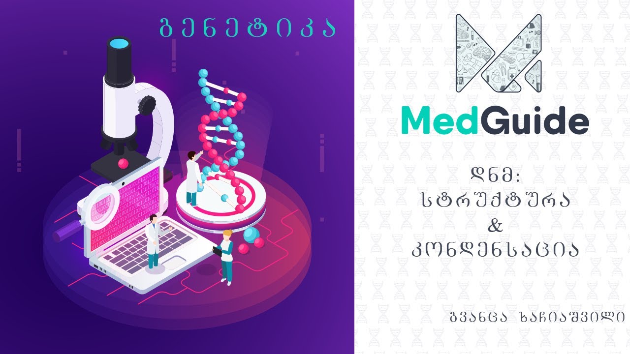 Medguide მედგიდი გენეტიკა დნმ ის სტრუქტურა And კონდენსაცია Youtube