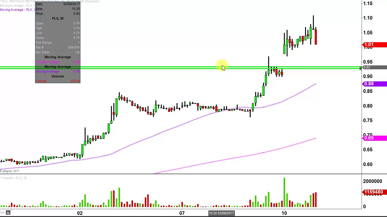 Protalix BioTherapeutics Inc - PLX Stock Chart Technical Analysis for ...