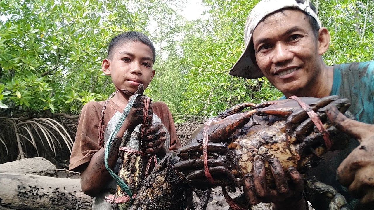 Berburu kepiting bersama anak kecil yang belum tau cara menangkap ...