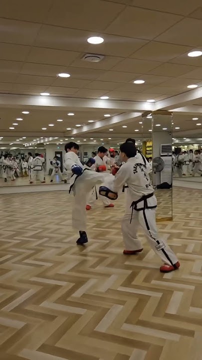 부산 성인 태권도 부산 ITF 태권도 맞서기 #taekwondo #itf태권도 - YouTube