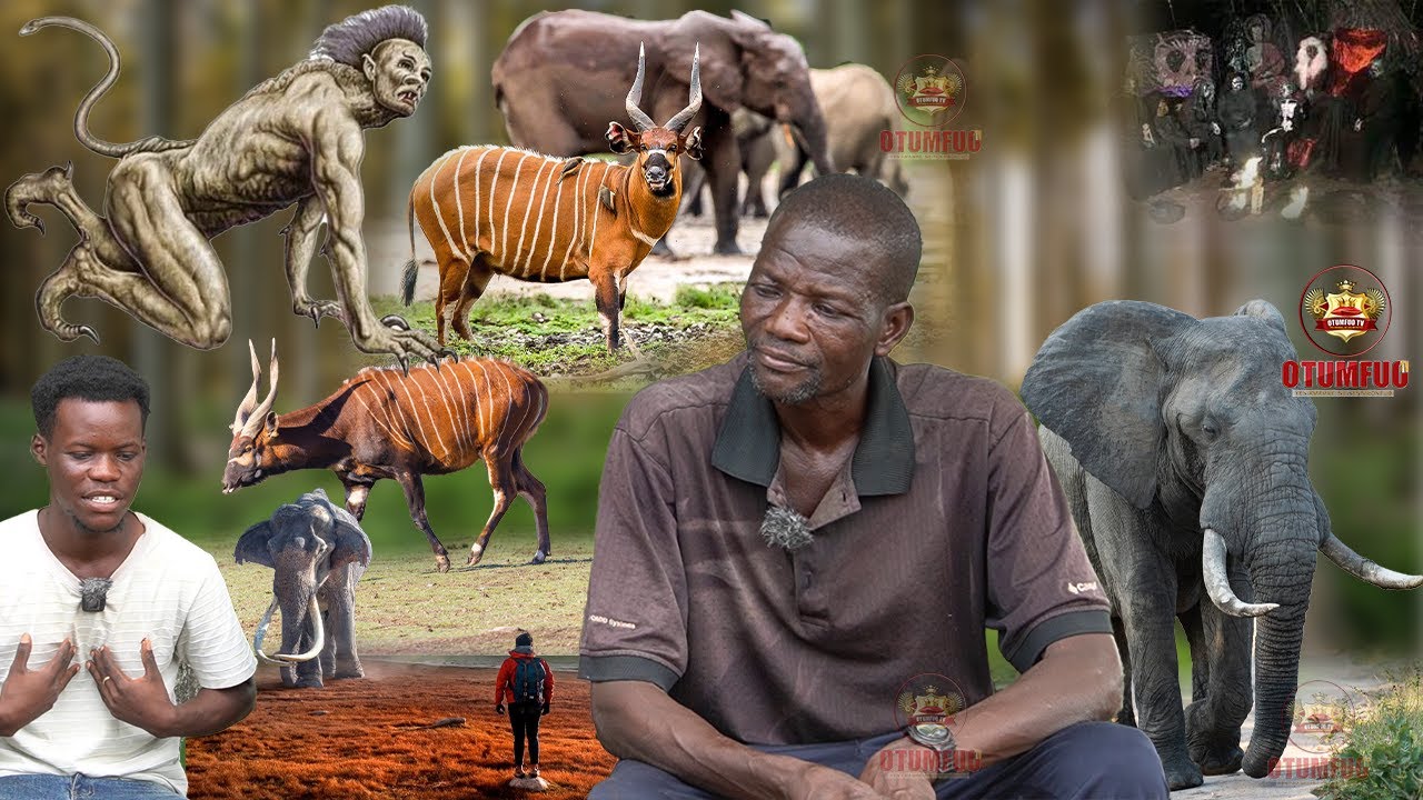 WILD HUNTING!: My Dope Battle With Sasabonsam, How I survived An ...