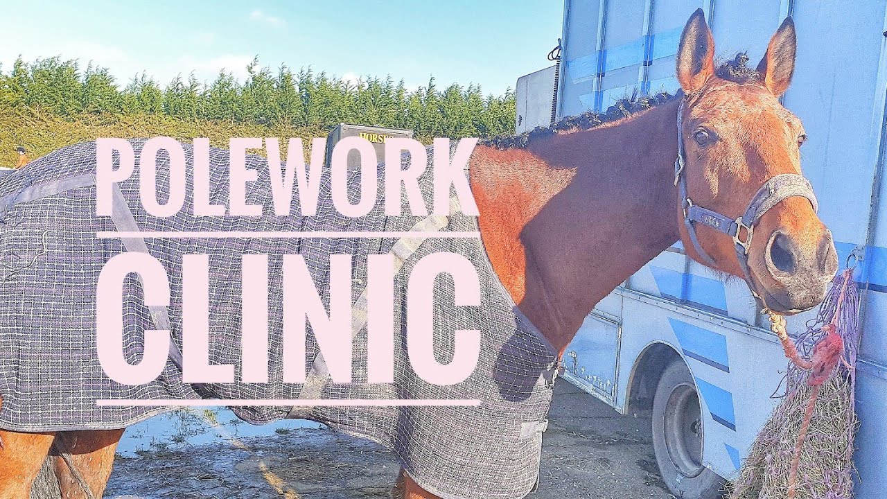 Dawn Fitzhugh | Pole Clinic With Shillington Riding Club - YouTube