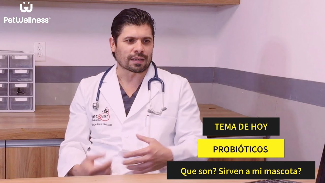 PROBIOTICOS, LAS BACTERIAS QUE LE AYUDAN A TU MASCOTA A ESTAR MAS SANA ...