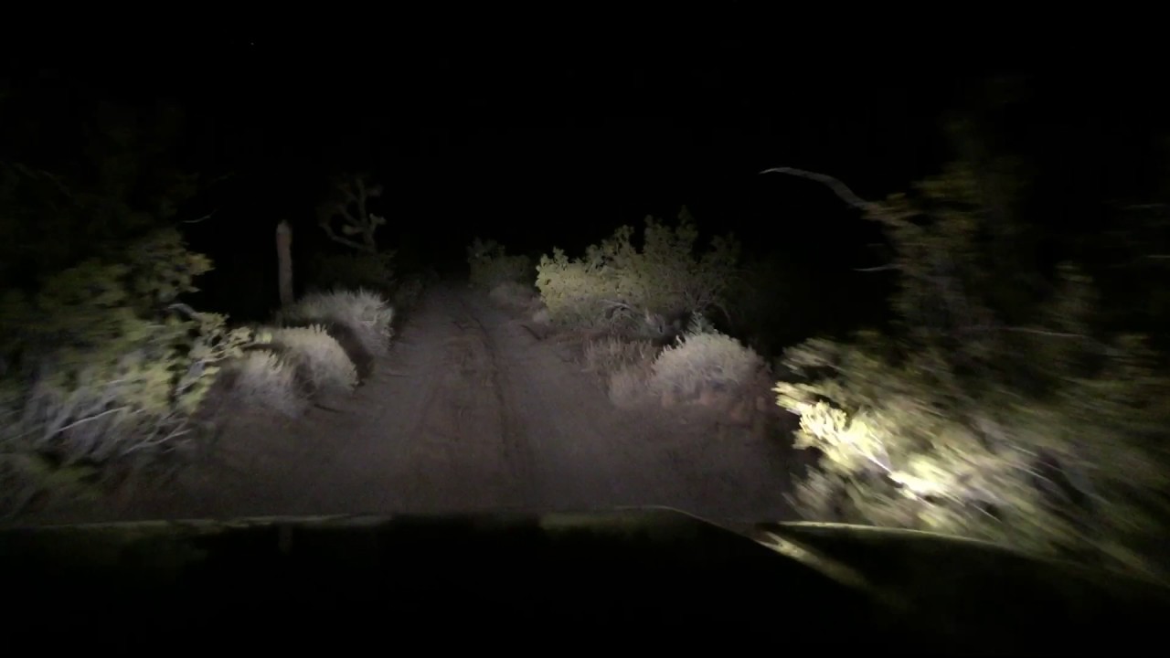 Joshua Tree trail dancing trees at night - YouTube