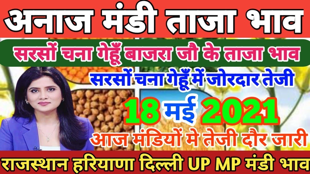 आज 18 मई 2021, सरसों गेहू चना में जोरदार बम्पर तेजी, sarso ka bhav ...