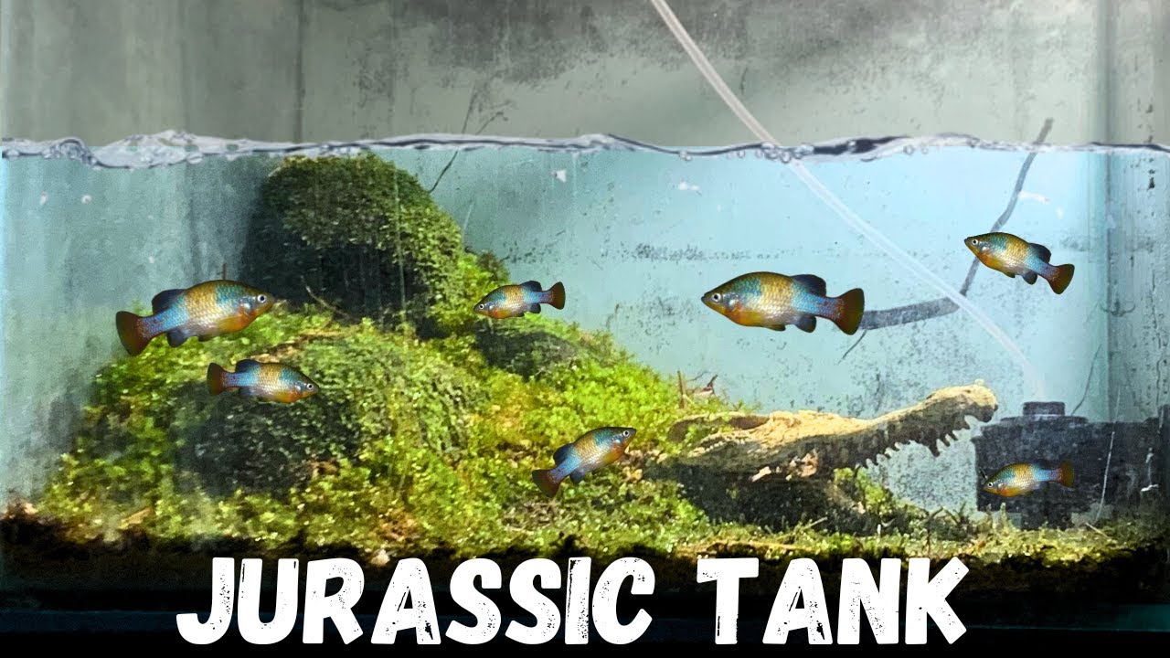 Creating a Mini Jurassic World in my Aquarium! - YouTube