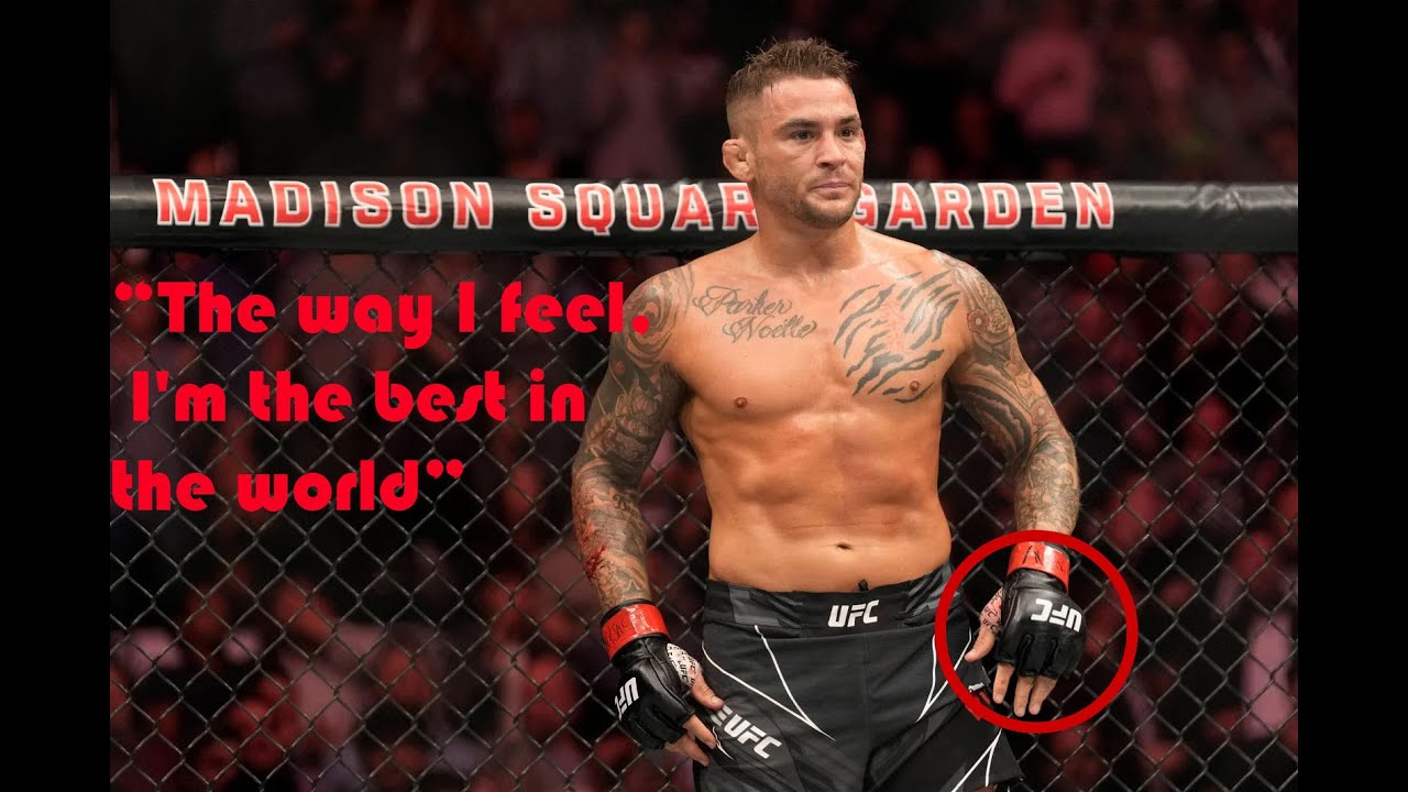 BEST Boxers in the UFC🥊🥊🥊 - YouTube