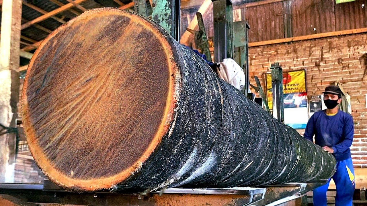 The Hard Impact of a Sawmill: Coconut Tree Wood for Construction - YouTube