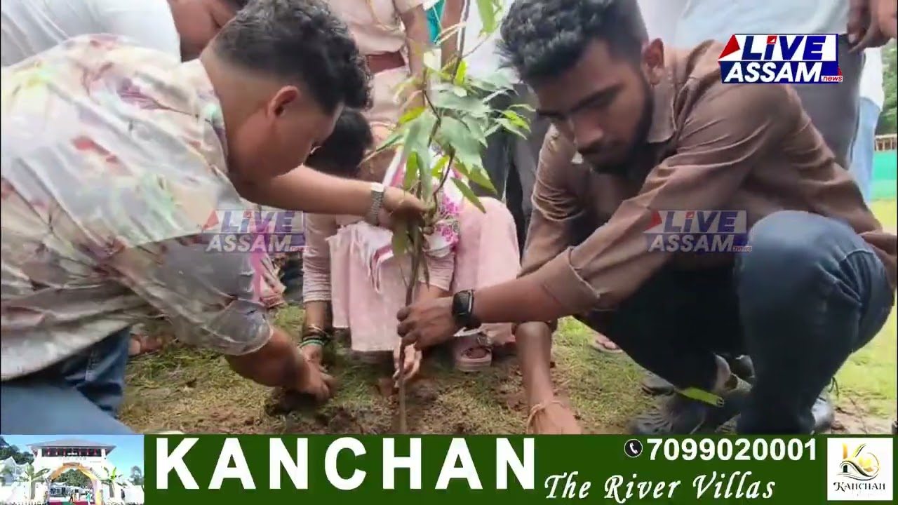 HomePage - Live Assam