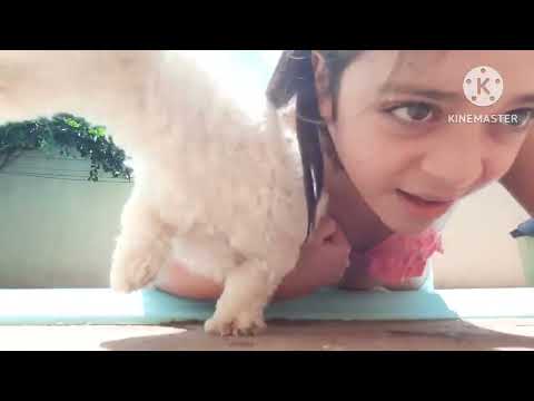 Cleaning pool vlog in bikini poolmeninas na piscinas Nina’s piscinas bikini poolreproducir un video