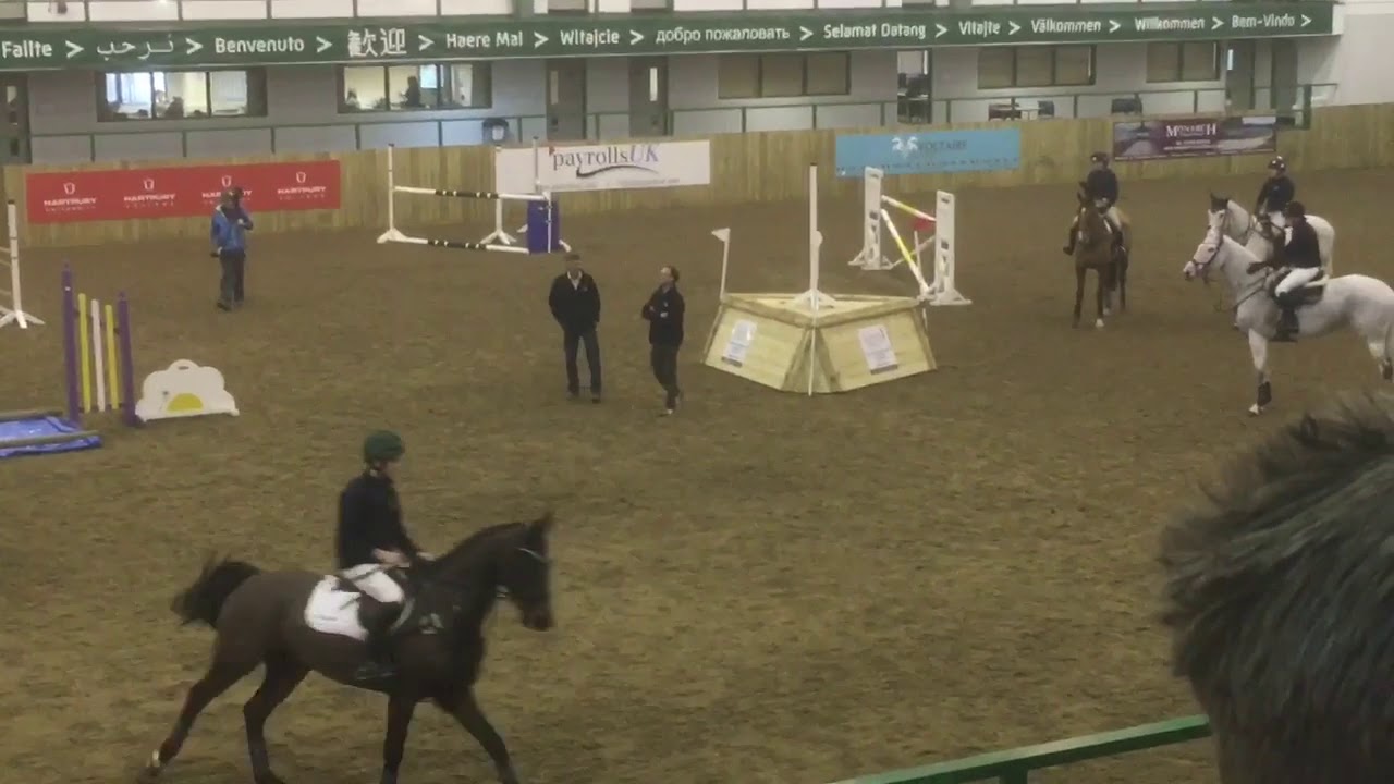 International Eventing Forum Andrew Nicolson & Robbie Power - YouTube