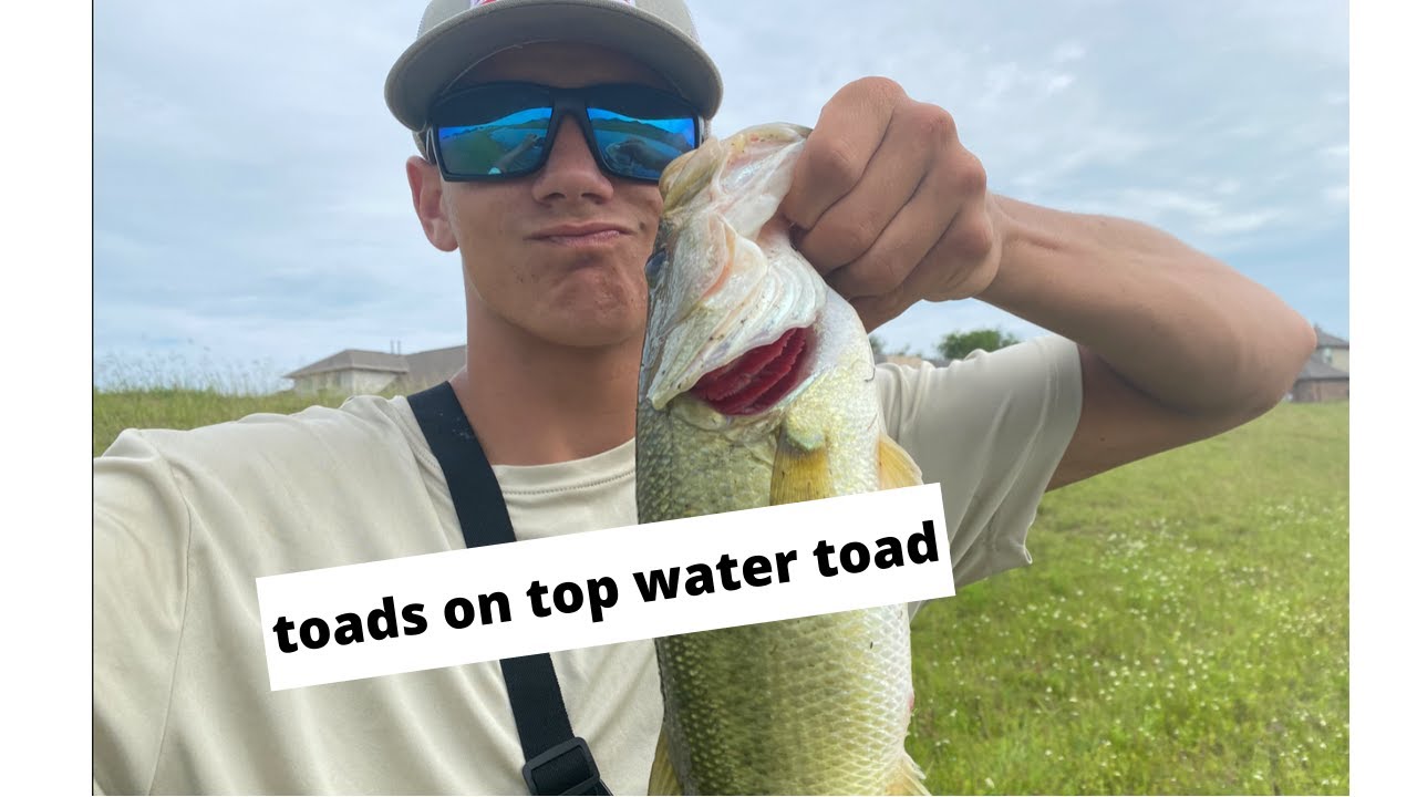 Big billy bass fishing - YouTube