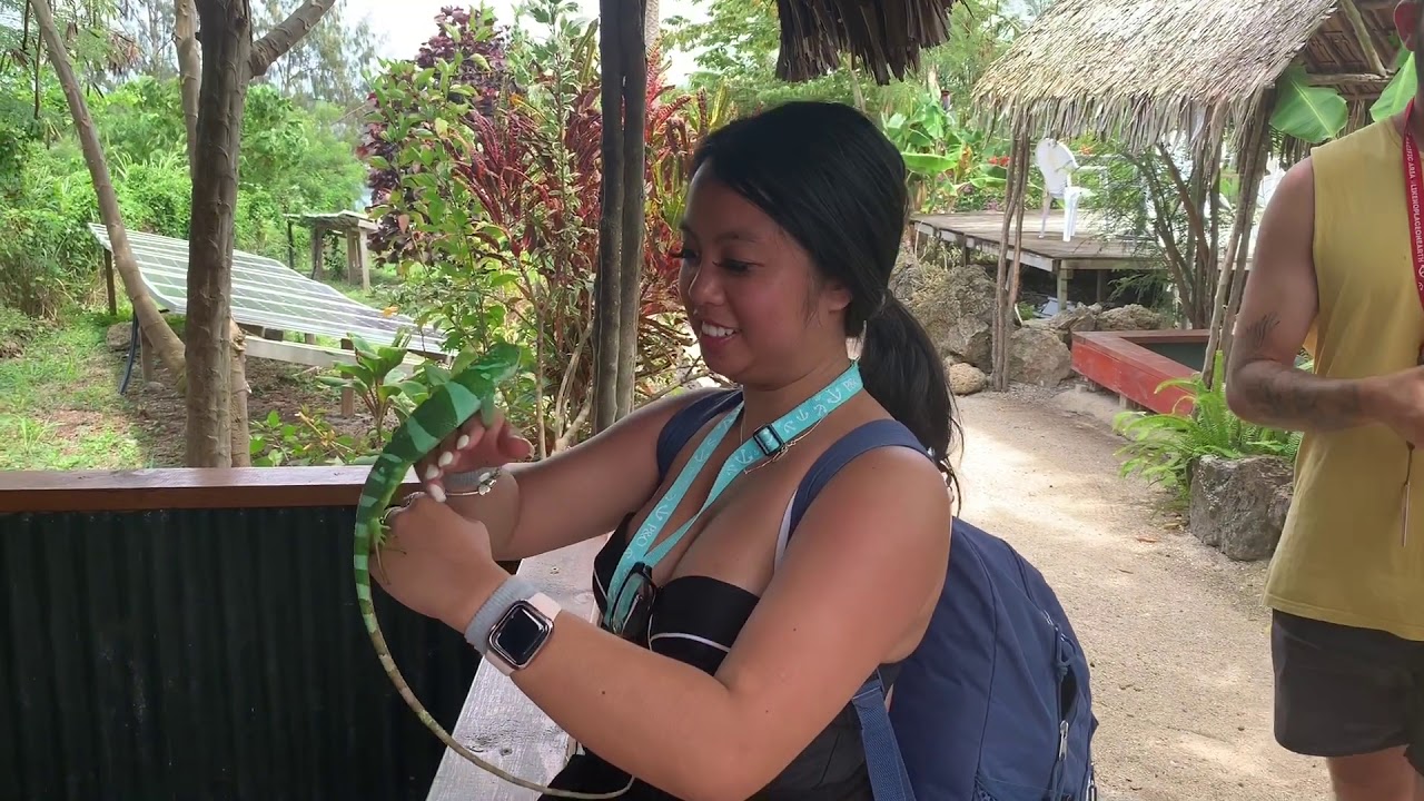 Pacific Island Hopper Cruise ~ 7 nights - YouTube