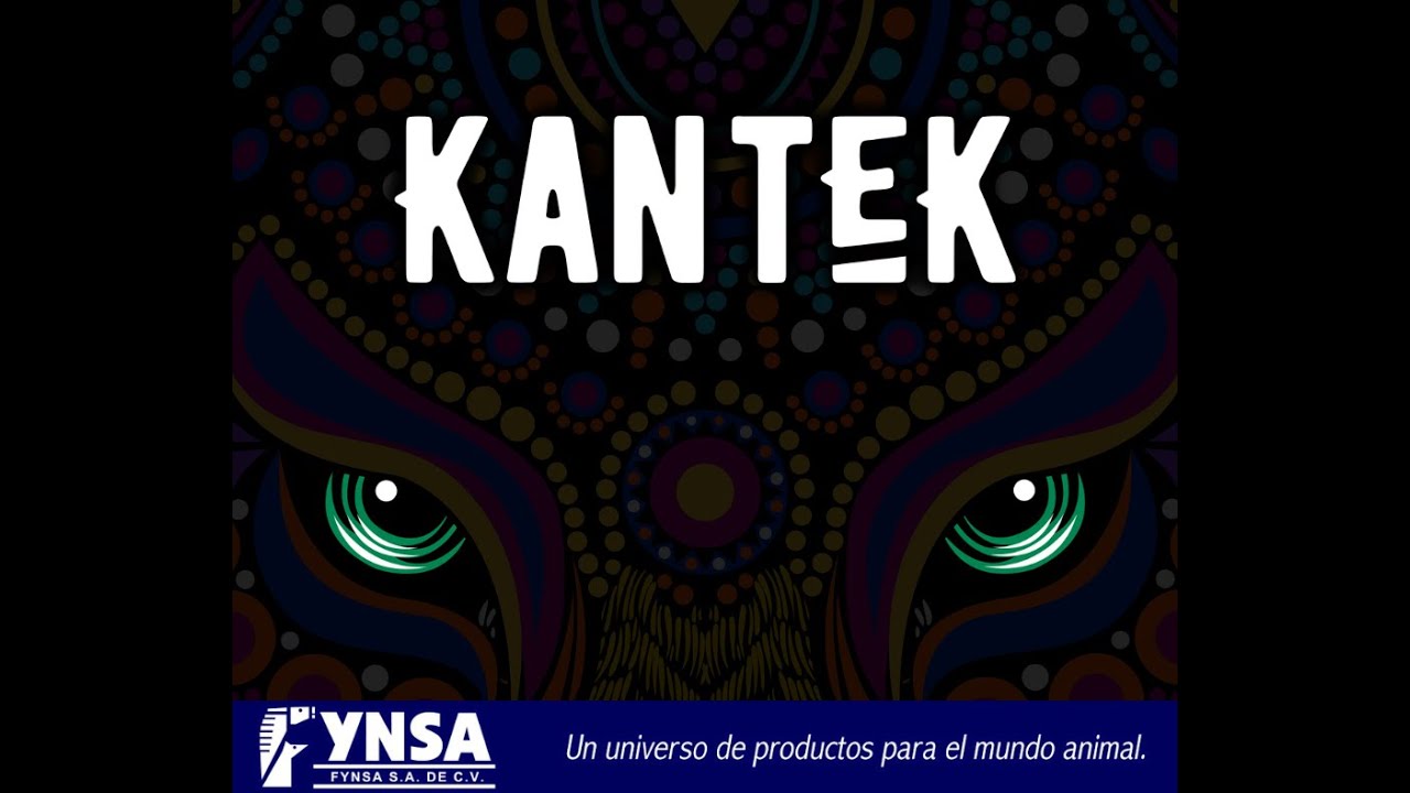 Kantek: Alimento holístico 100 % mexicano - YouTube