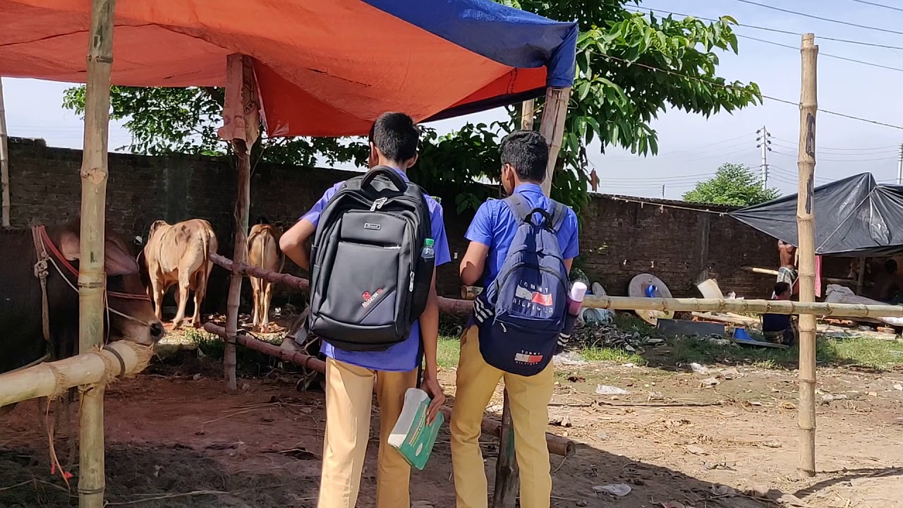 Gorur hat notun Bazar 100 feet 2019(1) - YouTube