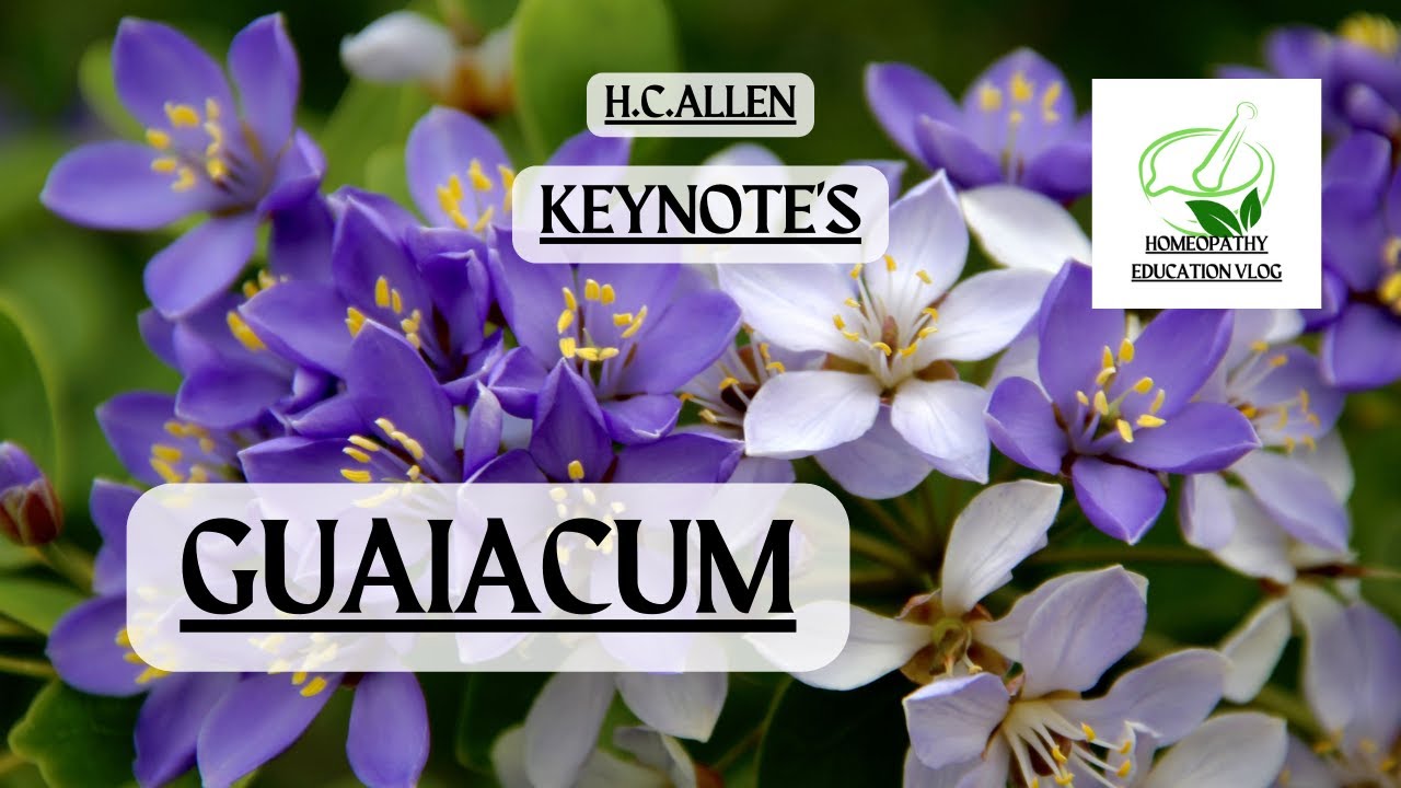 GUAIACUM |Homeopathic Materia Medica |By "KEYNOTE'S" |BHMS # ...