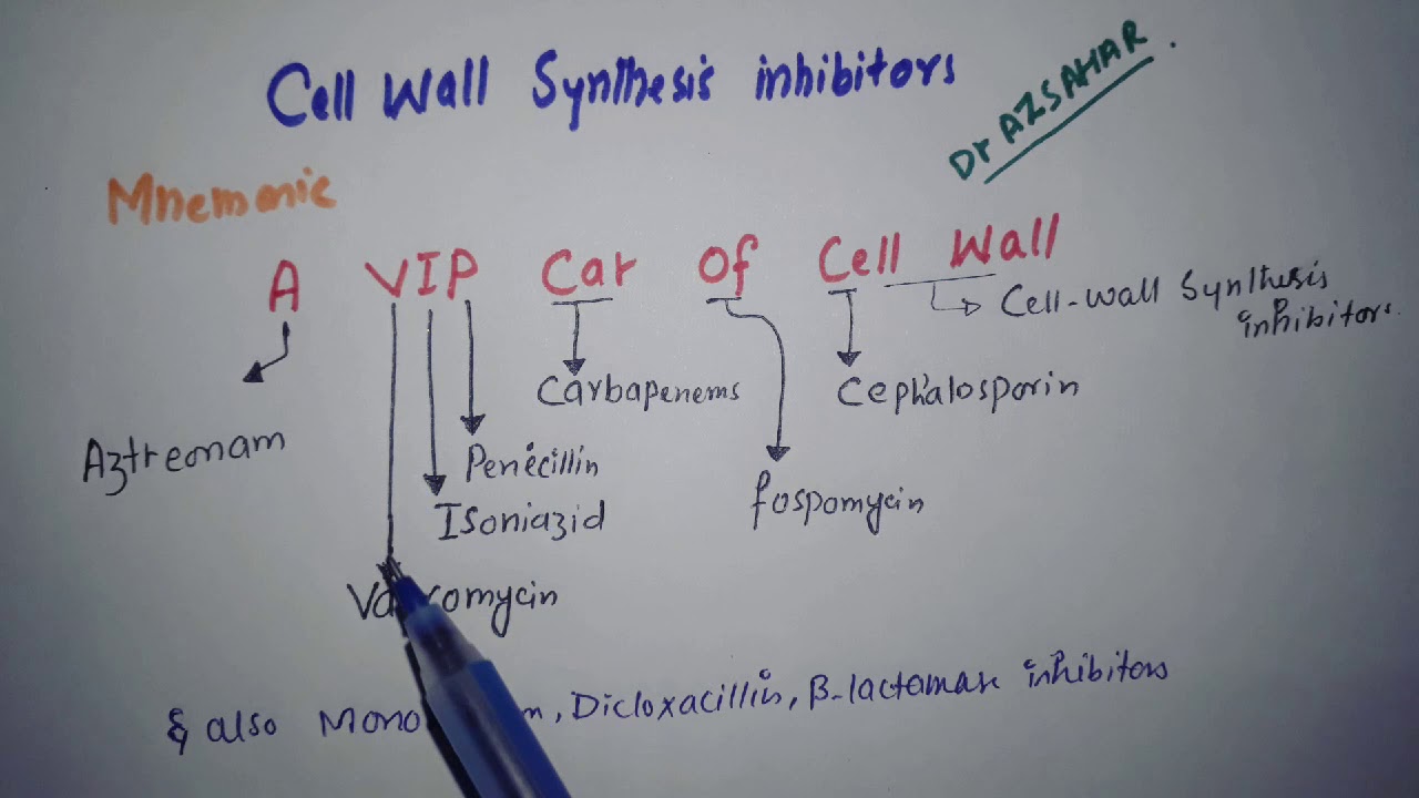 Mnemonic for Cell wall synthesis Inhibitor - YouTube