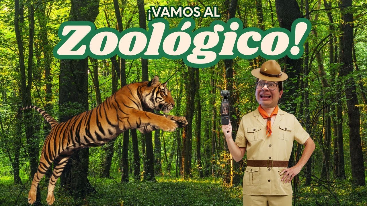 VAMOS AL ZOOLÓGICO | PROBANDO LA OSMO POCKET 3 - YouTube