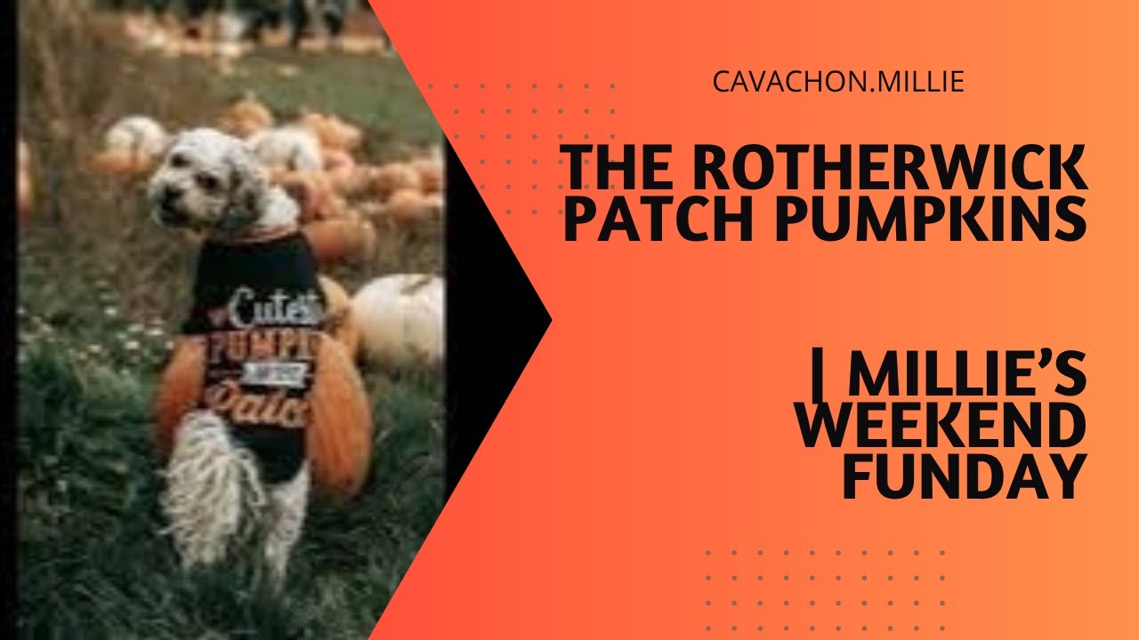 Millie's Weekend Funday Ep. 35 - The Rotherwick Patch - YouTube