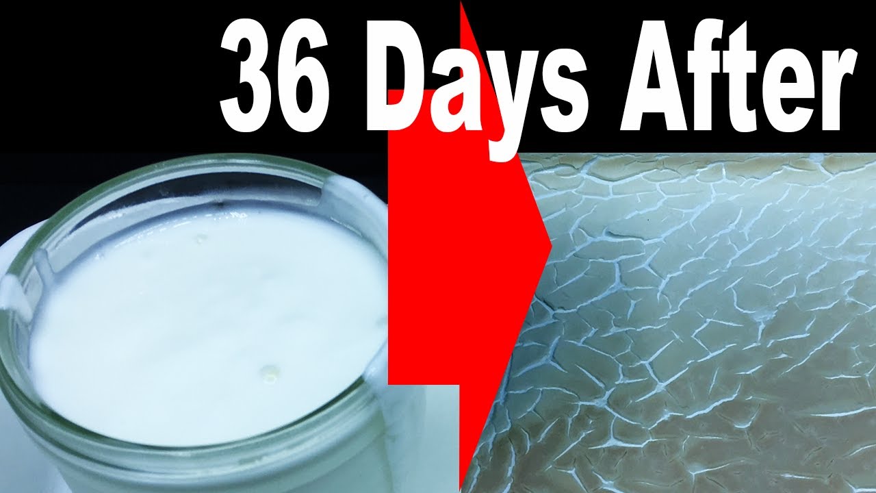 The Rotting Yogurt Timelapse!!! - YouTube