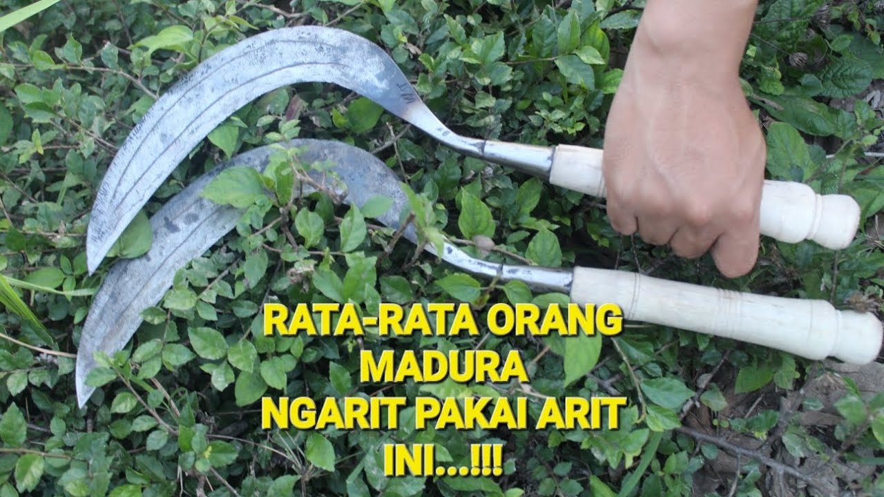 ARIT BAJA ISEN ARIT IDOLA BUAT NGARIT RUMPUT - YouTube