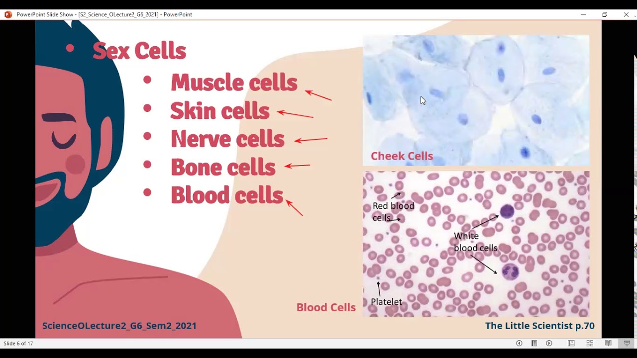 S2_Science_OLecture2_G6_2021 - YouTube