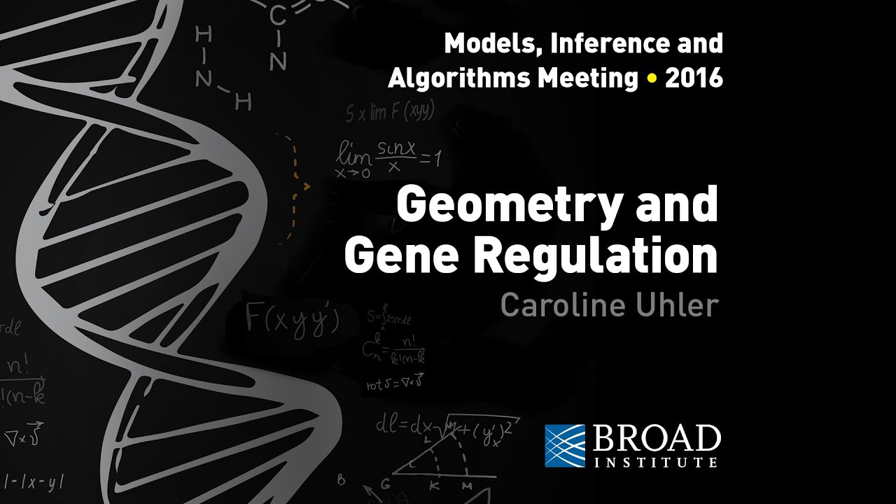 MIA: Caroline Uhler, Geometry and Gene Regulation - YouTube