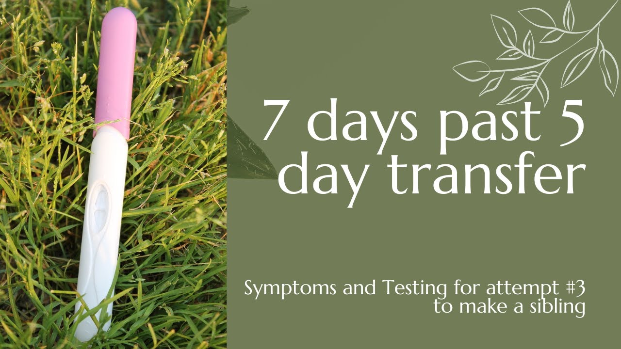 #ivf 7dp5dt symptoms, basal body temp and line progression 3dpt - 7dpt ...