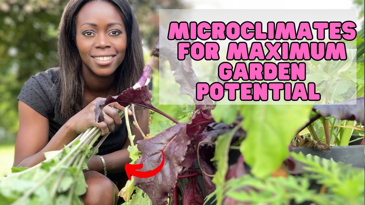 Understanding and Utilizing Microclimates - YouTube