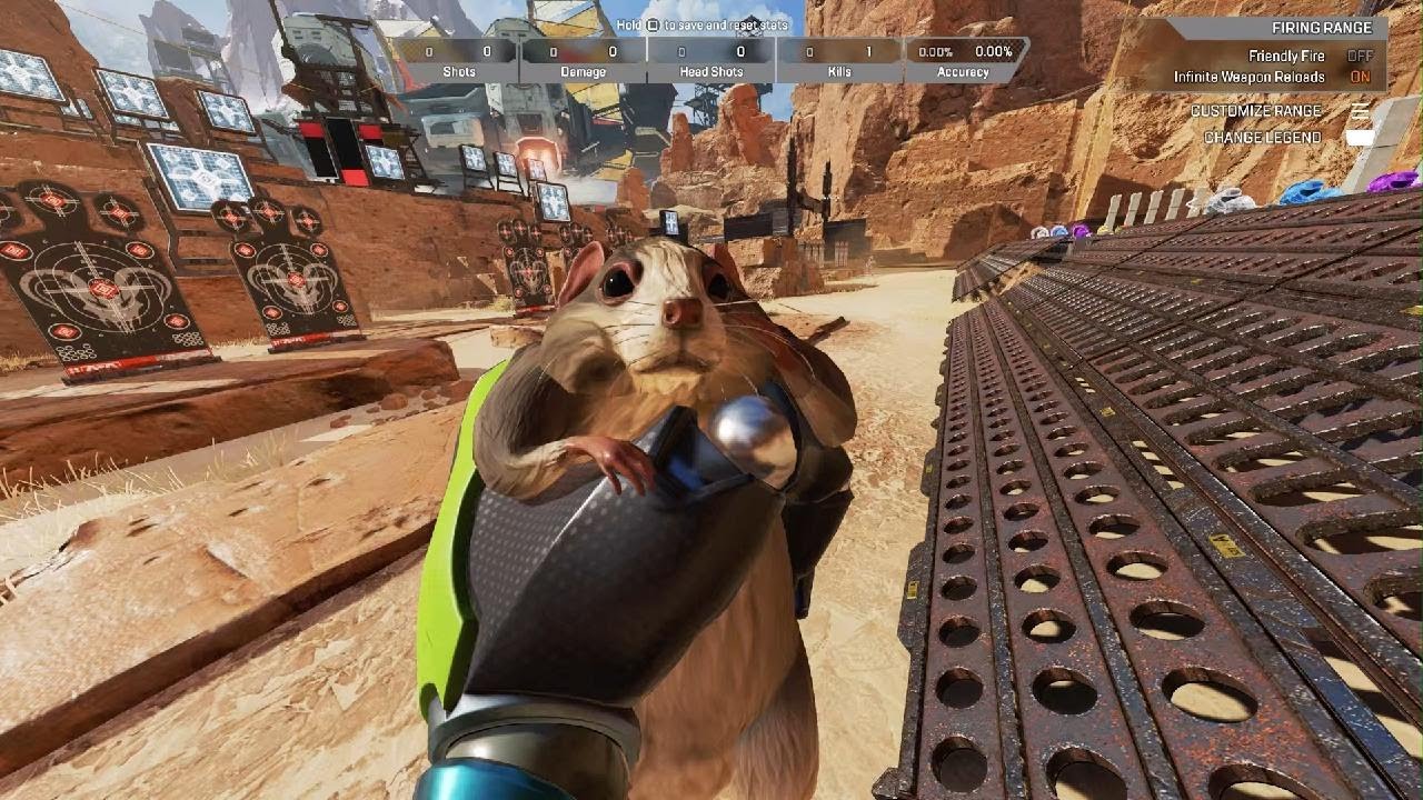 Rat inspection - YouTube