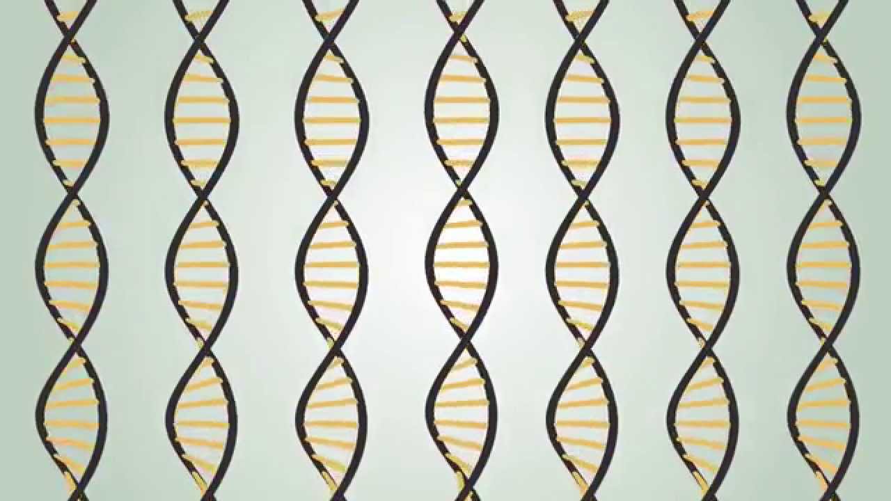 Clariva Complete Beans Infographic Video - YouTube