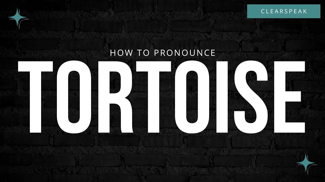 How to Pronounce Tortoise - YouTube