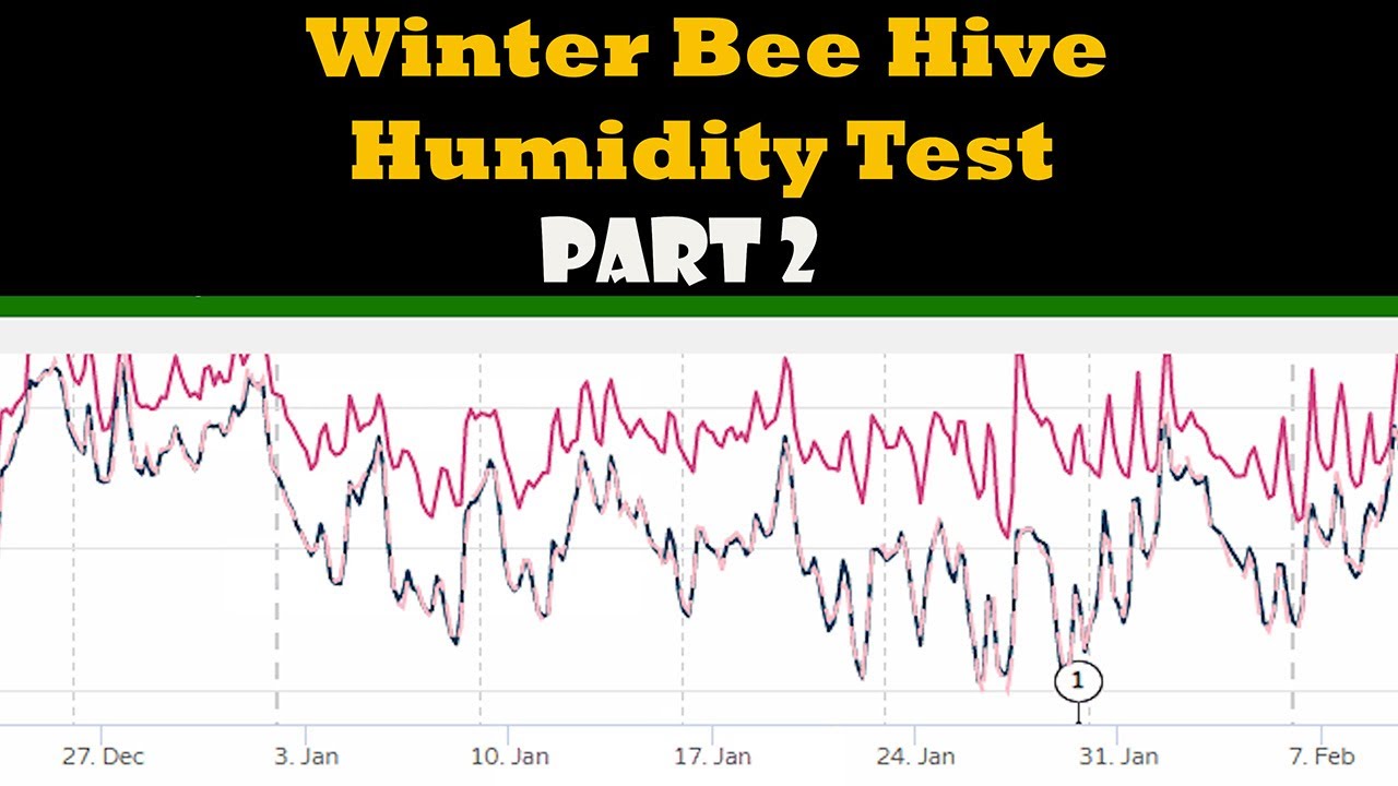 Winter Bee Hive Humidity Test Part 2 - YouTube