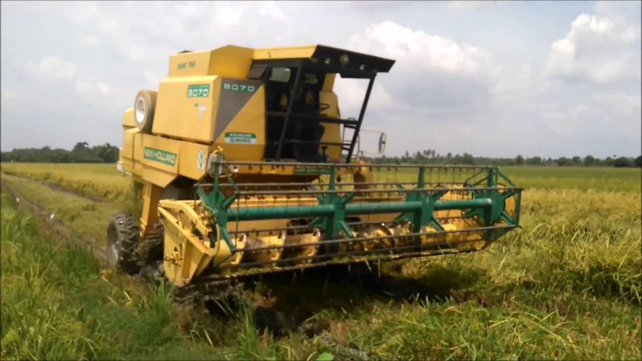 Mesin Padi 8070 Menuai Padi Dekat Nyok Sebatang Khamis 180816 - YouTube