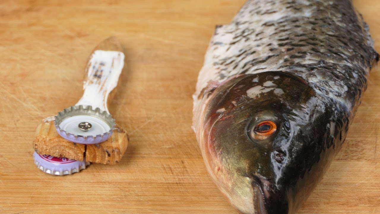 👍👍👍Handy tool to remove the fish scales without any cost. How could I ...