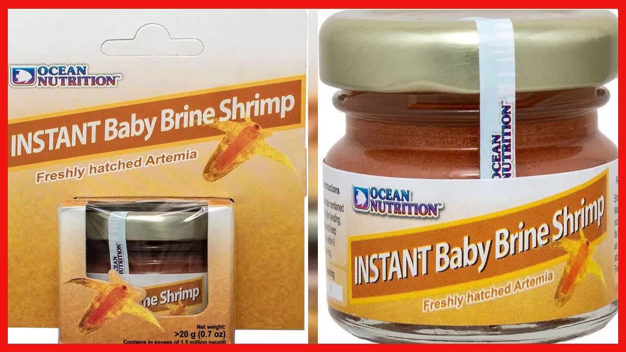 Ocean Nutrition Instant Baby Brine Shrimp 0 7 Ounces 20 Grams Jar - YouTube