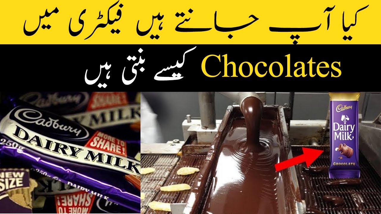 Cadbury Dairy Milk Chocolate Factory | How It's Made Cadbury ...