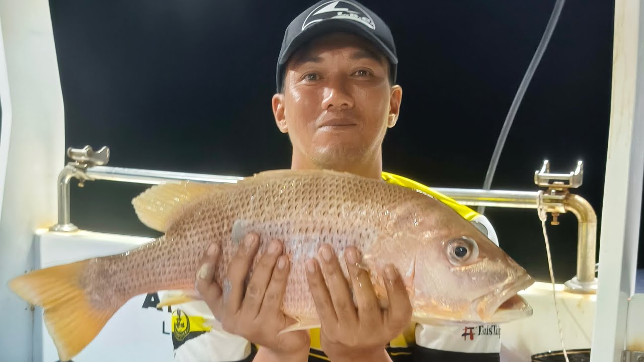 3 hari 2 malam Fishing trip to Pulau Perak - bottom Kapal Karam ...