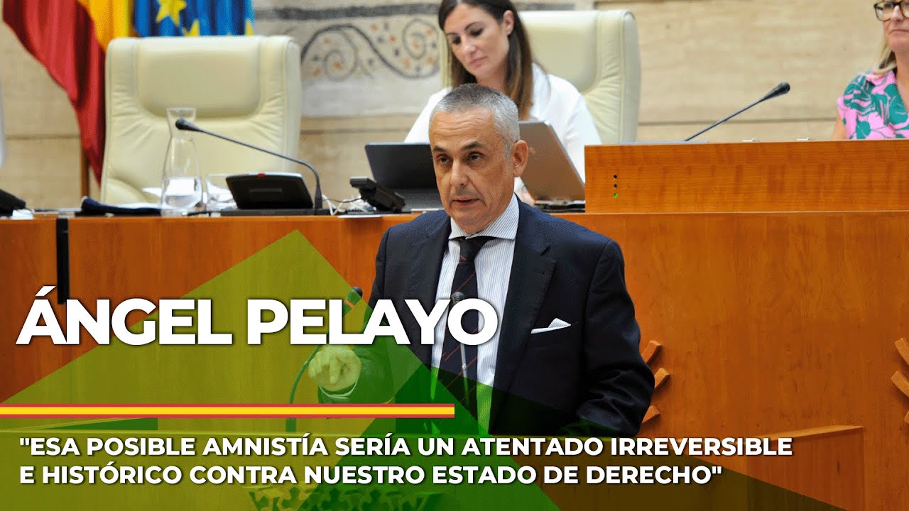 Ángel Pelayo: "esa posible amnistía es un atentado irreversible contra ...