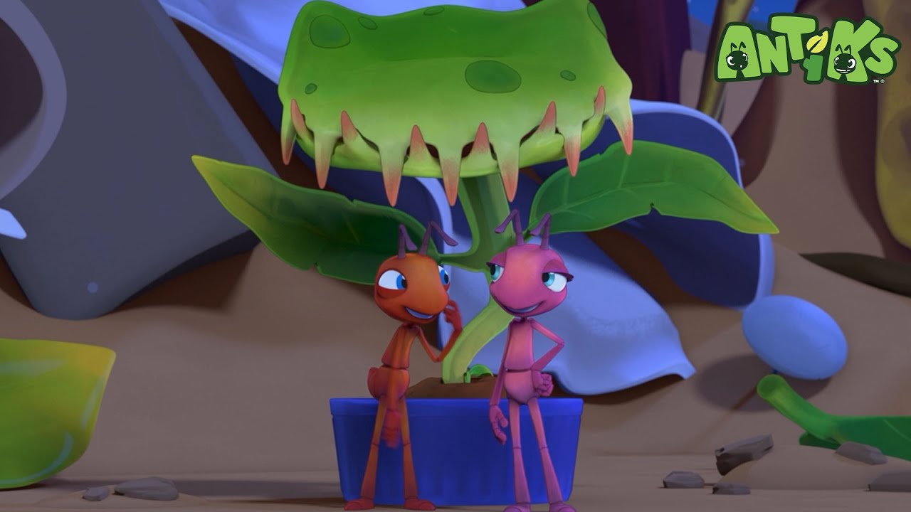 Every Cool Creature in Antiks! 🐜 | Cartoons For Kids | Moonbug Kids ...