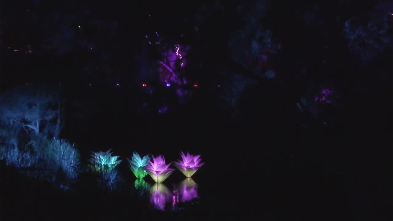 KINGS PARK LIGHTSCAPE 2023 4 - YouTube