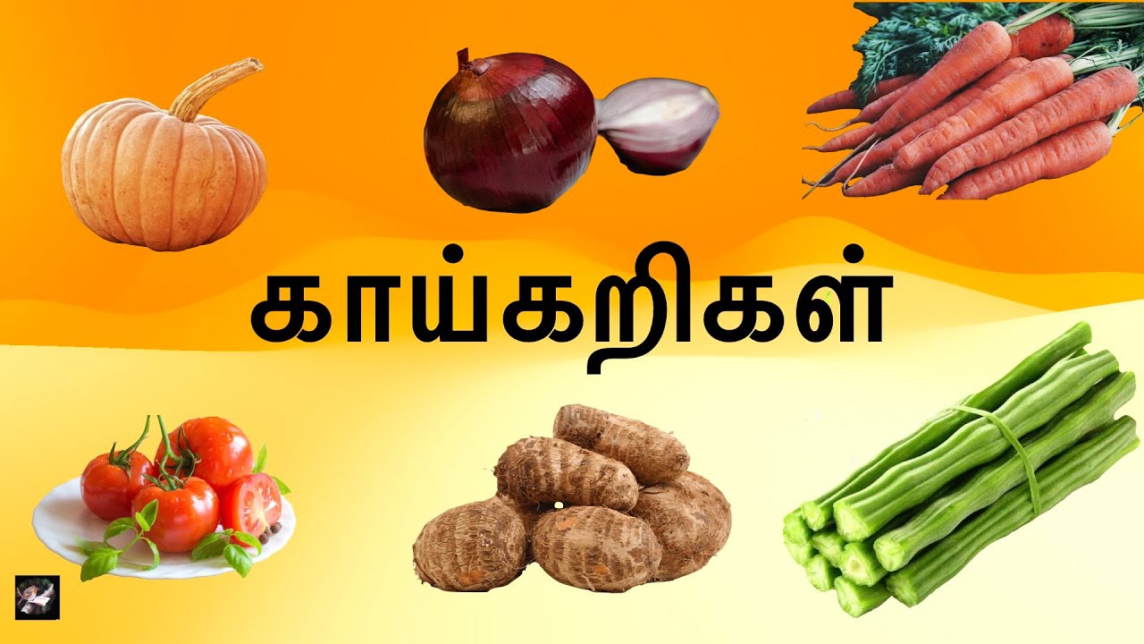 காய்கறிகள் | Names of vegetables in Tamil | Baby and Toddler Education ...