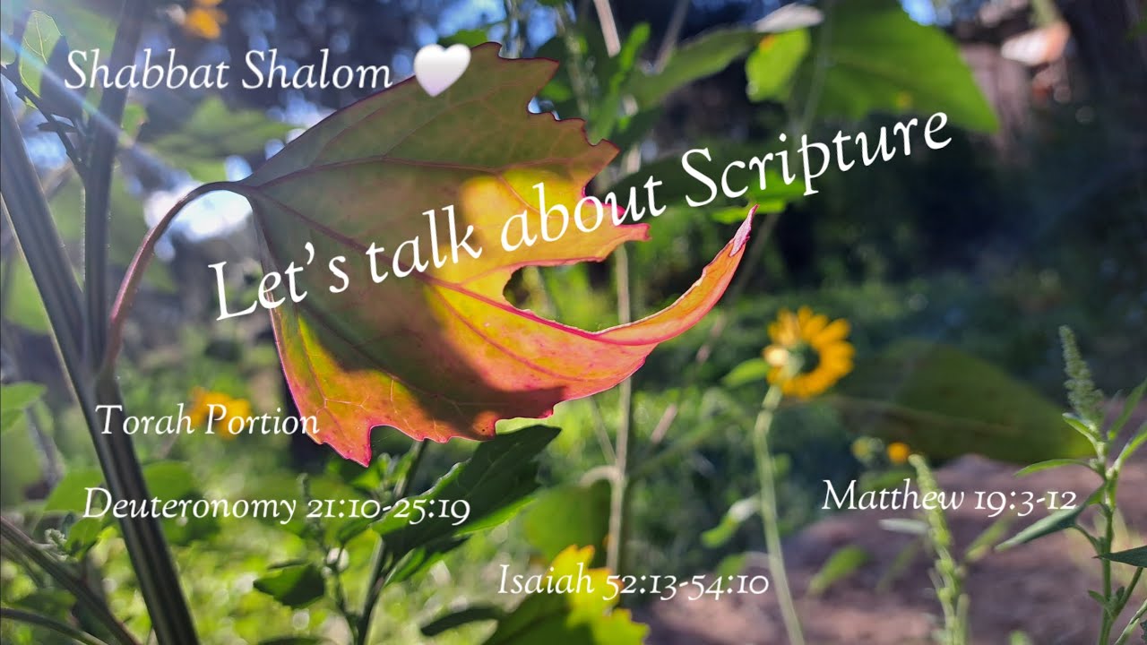 Let's talk about Scripture ♡ - YouTube