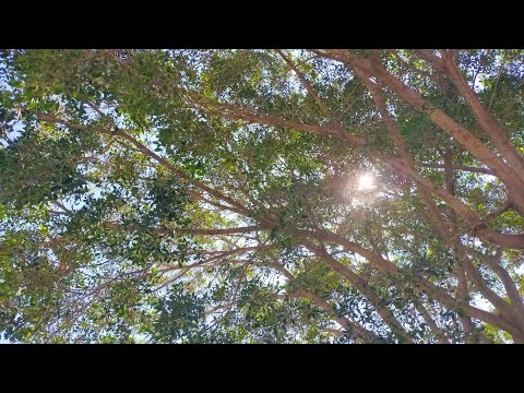 KIZ KIZA PİKNİK | SES YOK TELİF VAR🤭|VLOG