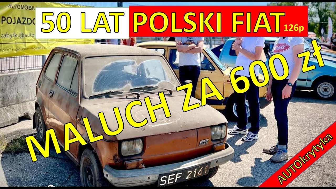 Najstarszy maluch! 50 lat Polski Fiat 126p - maluch za 600 zł, 350 aut ...