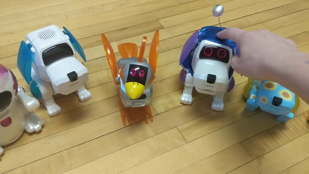 Miscellaneous Robo-chi pets - YouTube